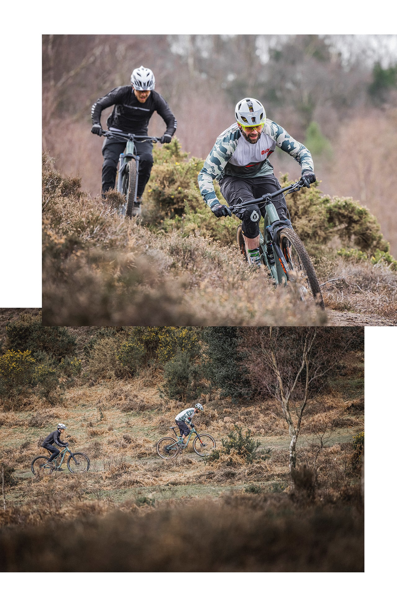 Glänzt auf den Hometrails: FOCUS THRON | FOCUS Bikes | FOCUS Bikes ...