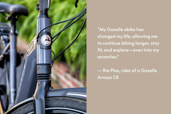 A Better Way to Ride - Royal Dutch Bikes Gazelle