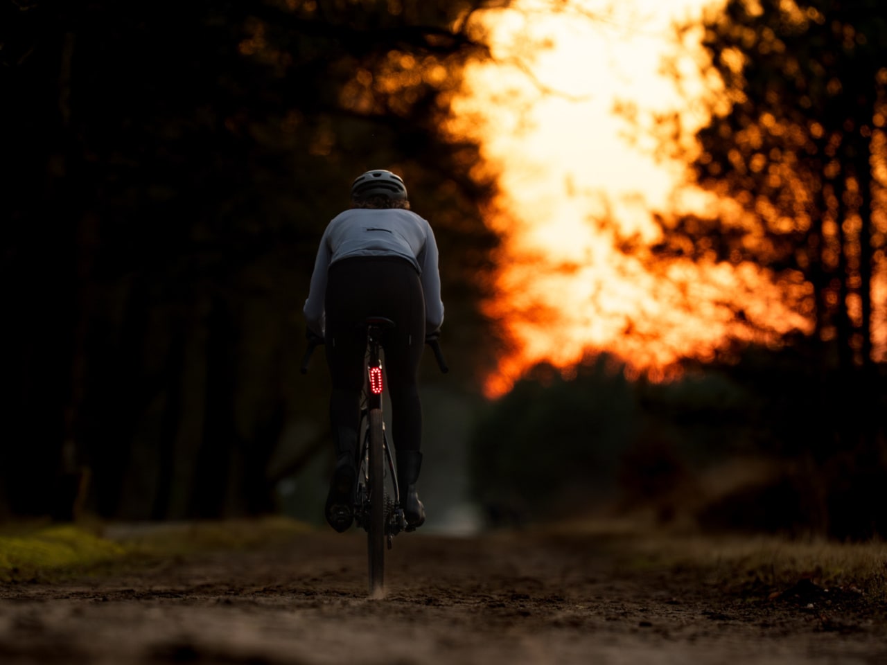 Signal Radar Rear Light - BBB Cycling