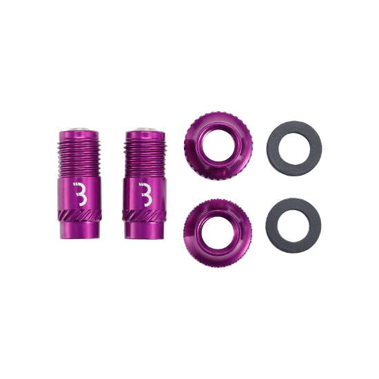 CoreCap Valve Cap Set - BBB Cycling